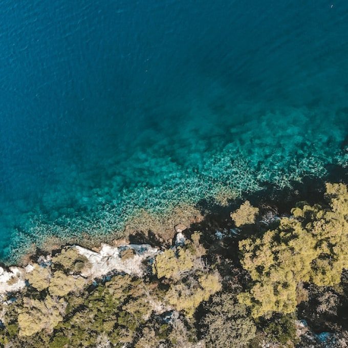 Hotel Odisej - Discover Mljet Island